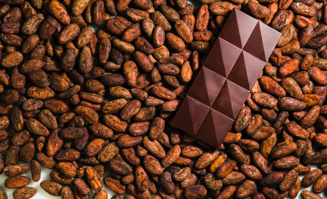 Slok Chocolate – Pimary